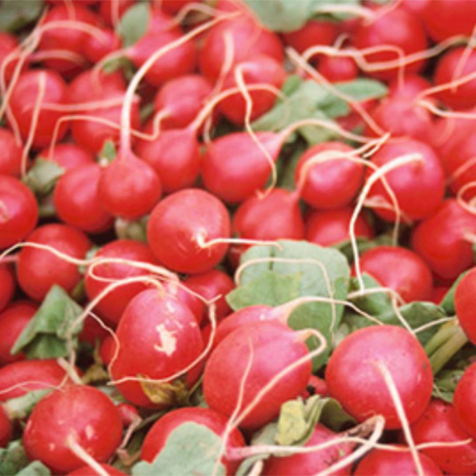 Our Products | WYCO Produce